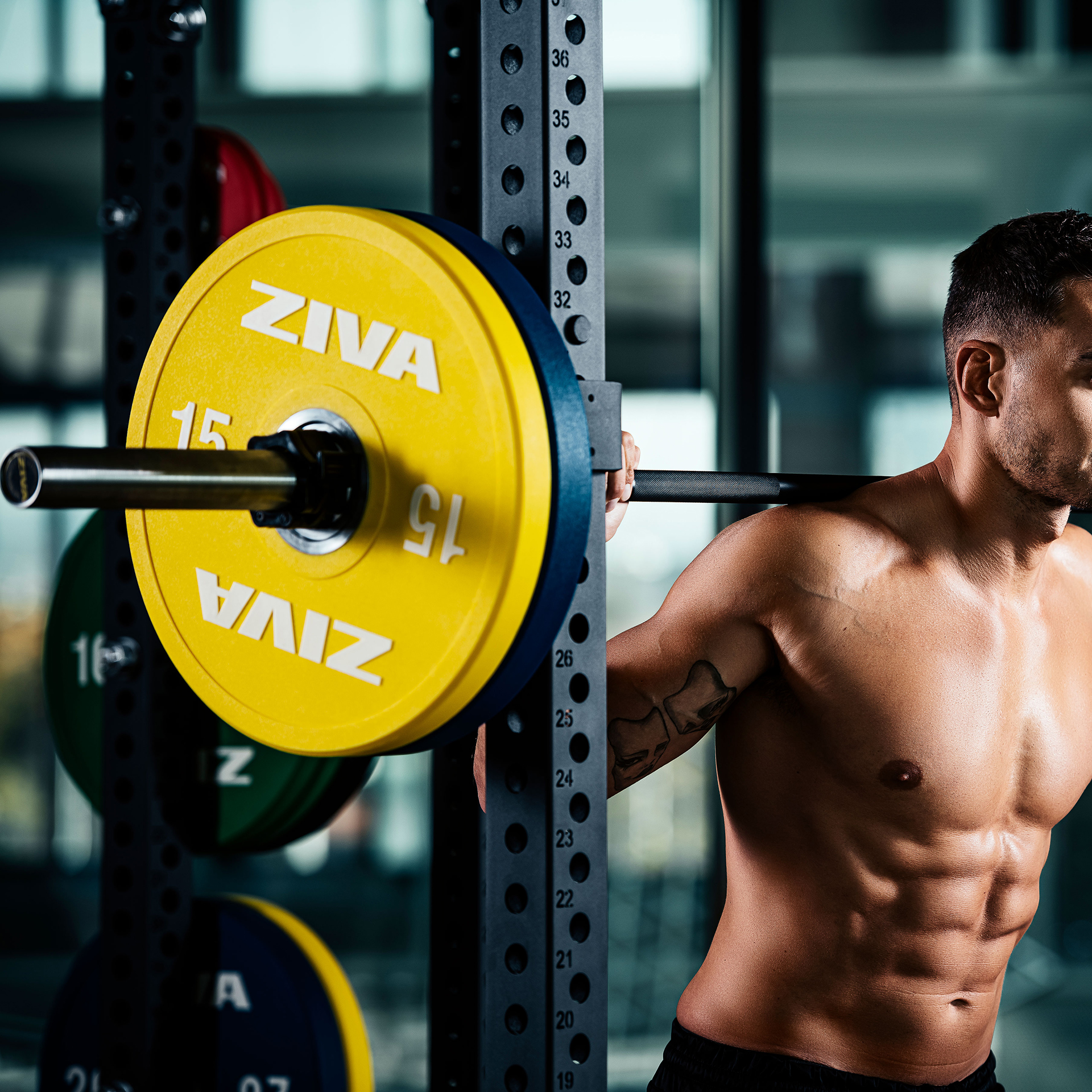 ZVO URETHANE COMPETITION COLORED BUMPER DISCS - ZIVA